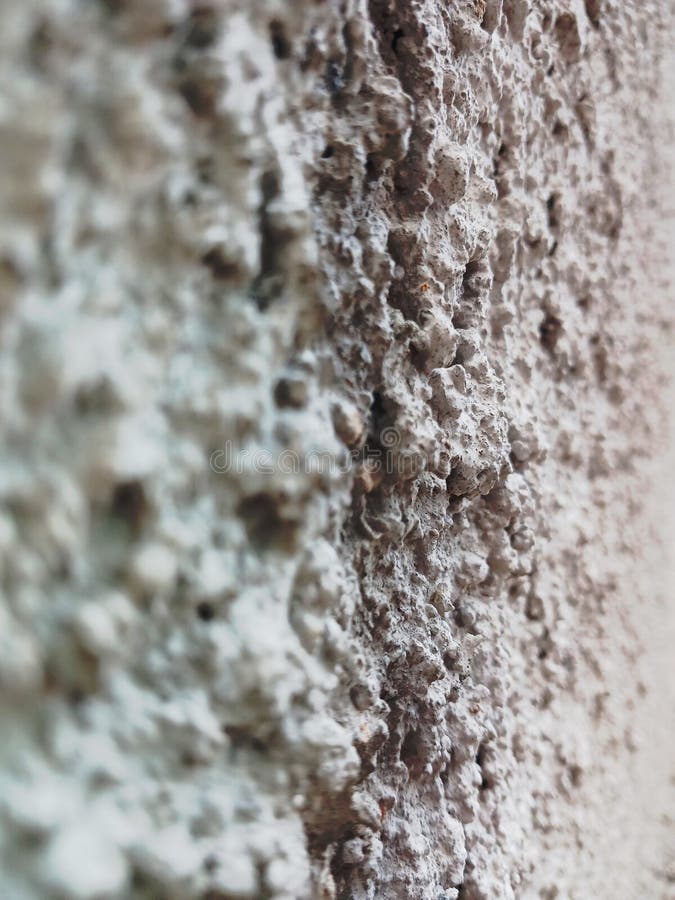 Rough Surface Background Outdoor , White Cement Plaster Wall Texture ...