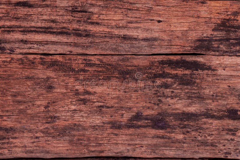 Rough Surface Material for Rustic Themed Background Design Concept ...
