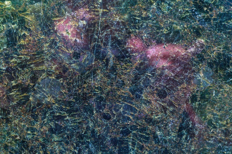 460 Wallpaper Underlay Stock Photos - Free & Royalty-Free Stock Photos ...