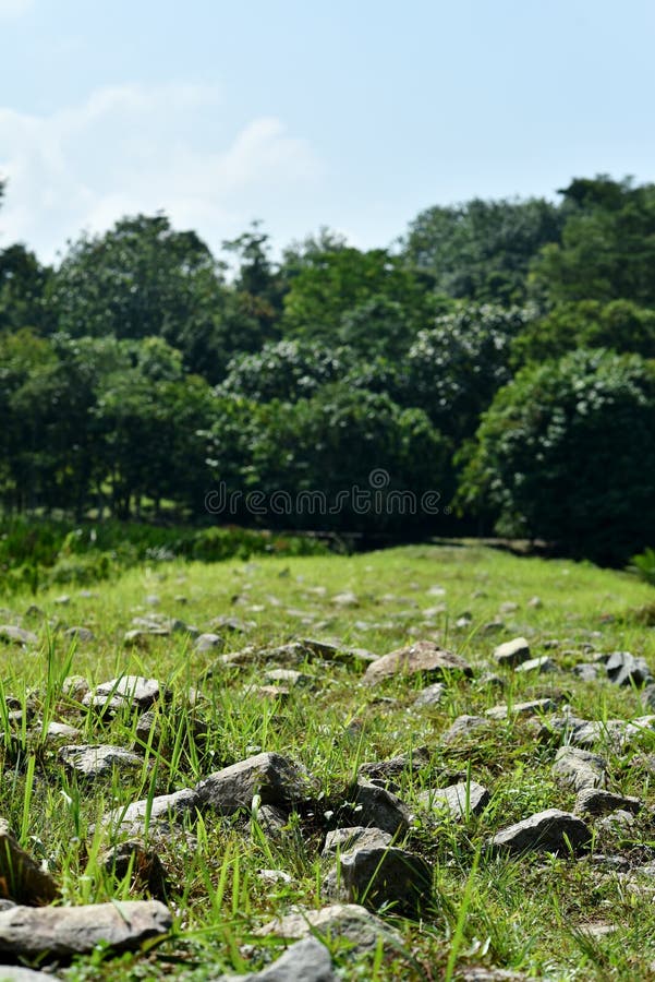 Rough Terrain Trail for Walking and Trekking Stock Image - Image of ...