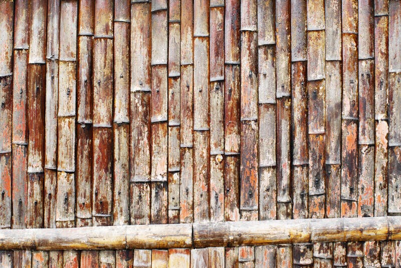Rough Texture Background from Bamboo Stalks. the Use of Bamboo Trunks ...