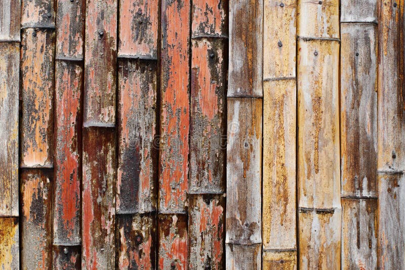 Rough Texture Background from Bamboo Stalks. the Use of Bamboo Trunks ...