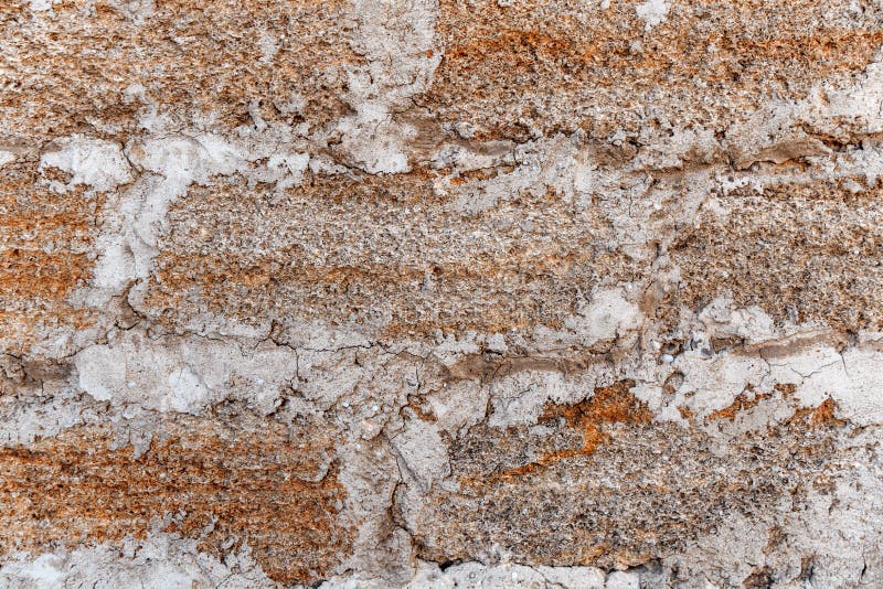 Rough Texture of a Brick Wall Made of Shells, Appearance Stock Image ...