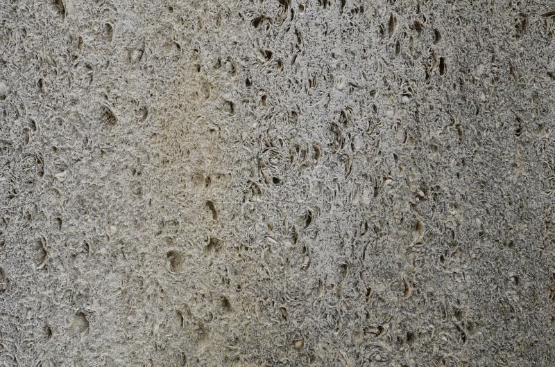 Rough Limestone Background/Texture Stock Image - Image of flat, spotted ...