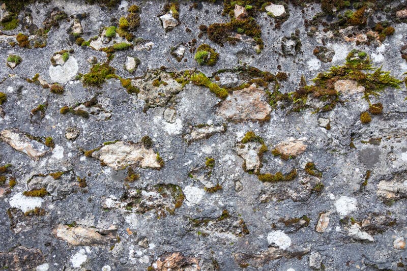 Rough Texture of Very Old Weathered Stone Wall with Traces of Time and ...