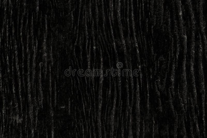 Rough Textured Dark Bark Surface for Abstract Background Stock Image ...
