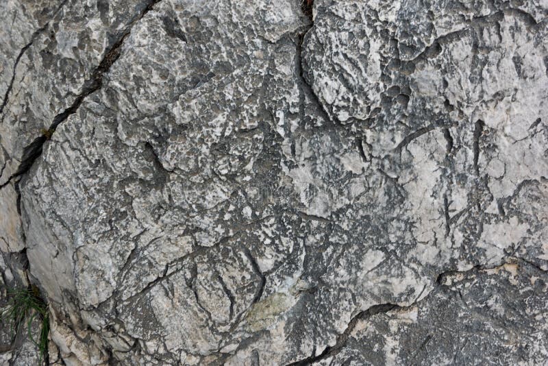Rough, Textured Rock Surface Stock Photo - Image of coast, hard: 147513262