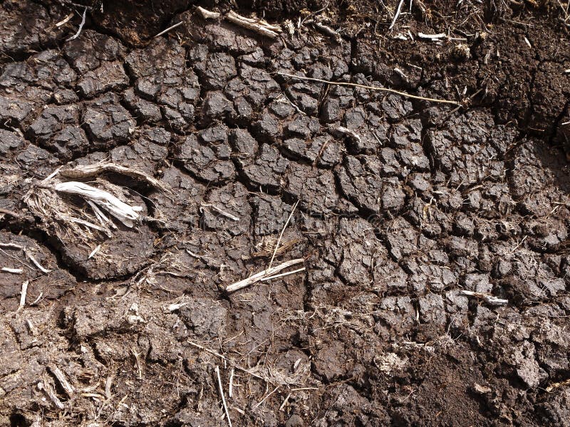 A Rough Textured Surface of a Dry Peat Bog Stock Photo - Image of ...