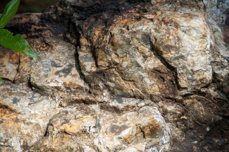 The Rough Textured Surface of a Rock Stock Photo - Image of large ...