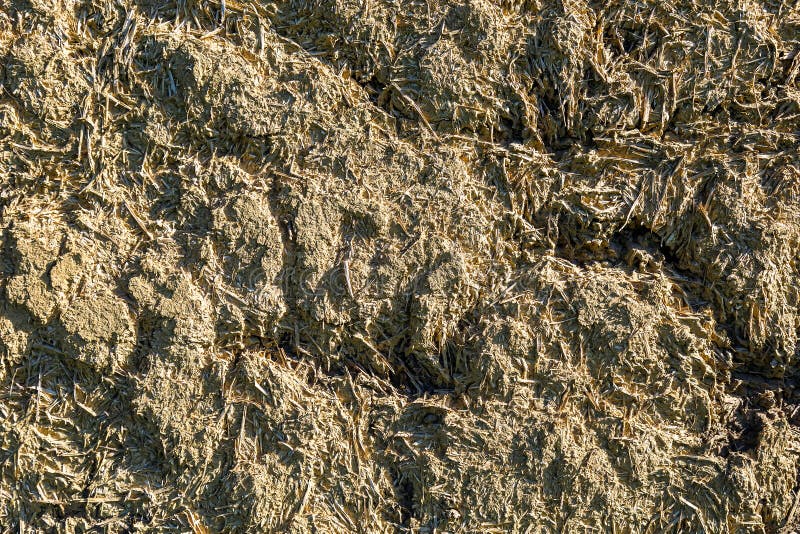 Rough Textured Surface of a Wall Made of Clay or Adobe, Background ...