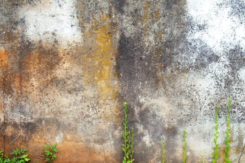 Rough textured wall stock photo. Image of material, abstract - 118779792