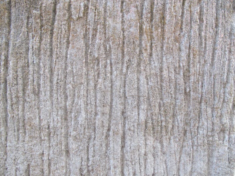 Rough Tree Bark Texture, Nature Concept Background Stock Photo - Image ...