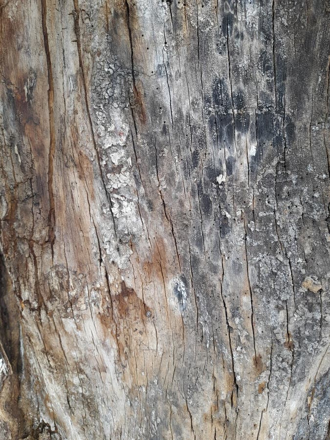 Skin Groove Patterns Stock Photos - Free & Royalty-Free Stock Photos ...