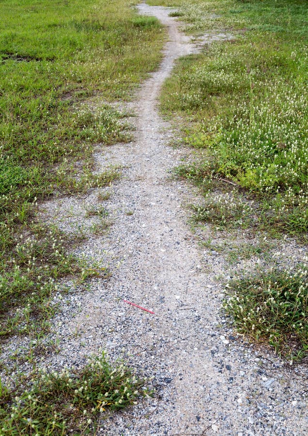 Rough walking path stock image. Image of flower, path - 80080299