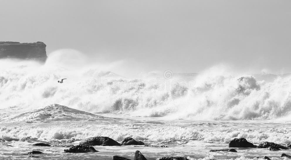 2,018 Dangerous Windy Coast Stock Photos - Free & Royalty-Free Stock ...
