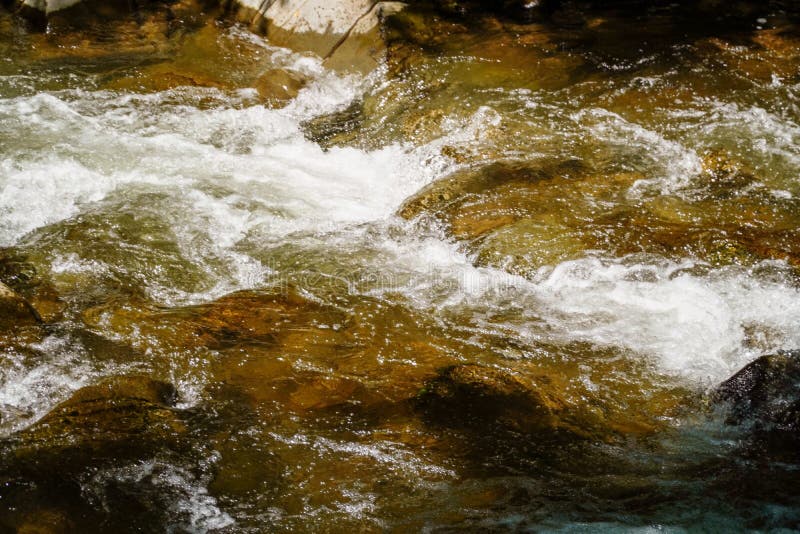 Rough Water in the Mountains, Water Flows Over the Rocks, Forest ...
