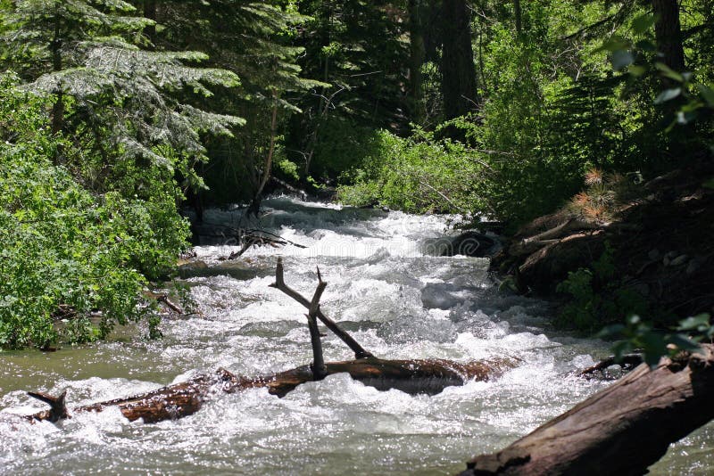 Got Water? stock image. Image of nourishment, drinking, people - 30565