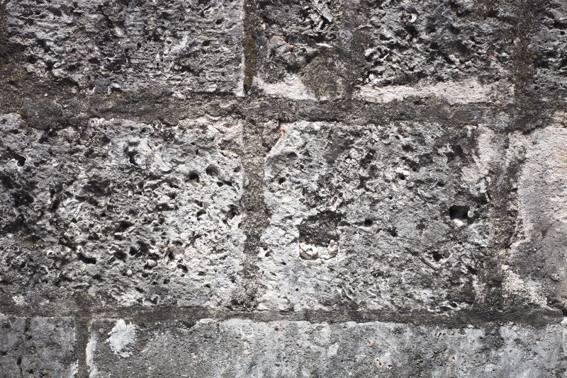 Rough Weathered Coquina Limestone Wall Surface Texture Close Up Stock ...