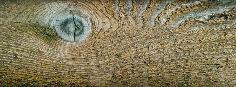 Rough Weathered Natural Wood Texture Background Wide Banner Layout ...