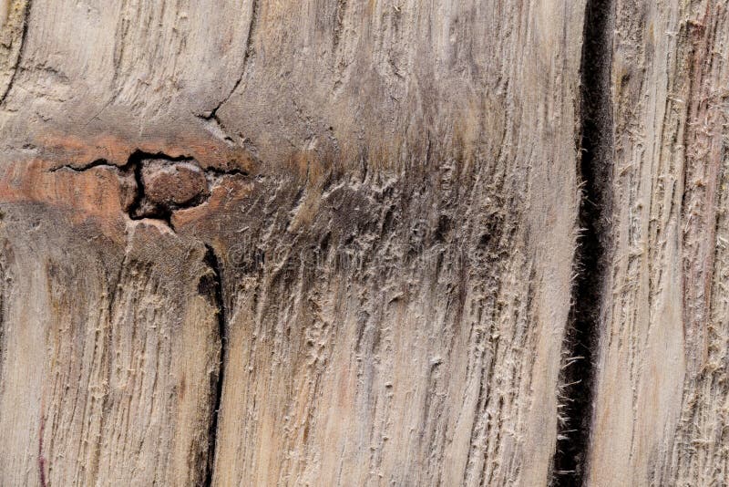 Rough Weathered Wooden Board. Rustic Texture for Background Stock Image ...