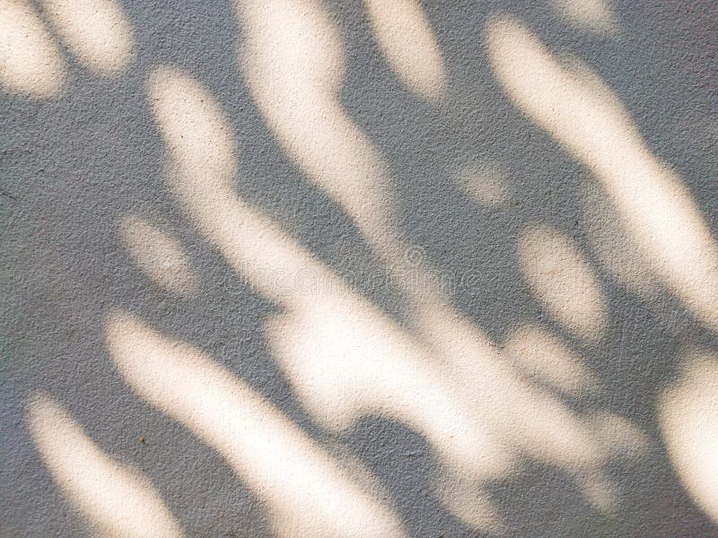 Rough White Background Black Shadow, Blank, Copy Space Stock Image ...