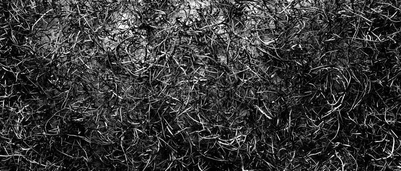 Brillo Stock Illustrations – 119 Brillo Stock Illustrations, Vectors ...