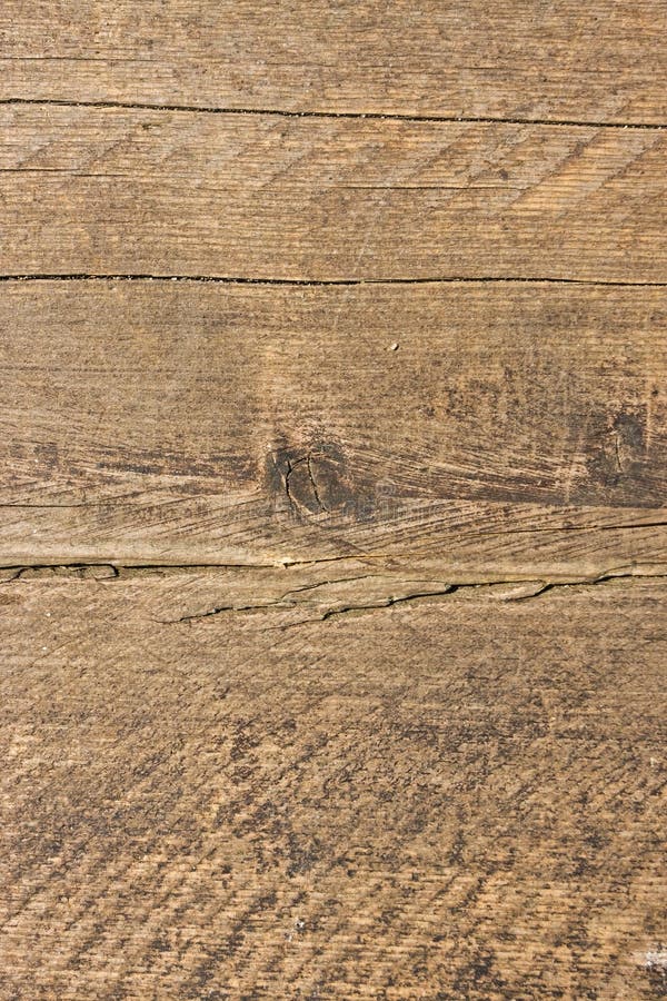 Rough wood texture stock photo. Image of abstract, pattern - 10019840