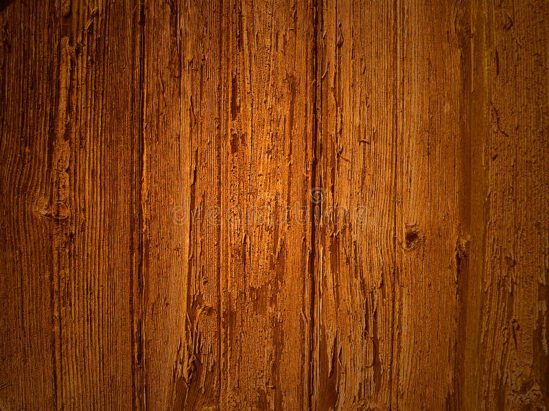 Rough wood texture stock photo. Image of texture, natural - 19998352