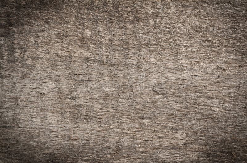 Seamless Texture Natural Light Wood Rough. Solid Wood Texture without ...