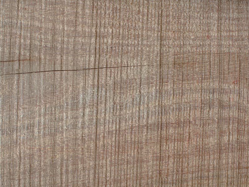 Vertical grain oak texture stock photo. Image of board - 38992356