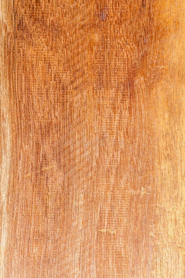 Rough Wood Texture with Natural Pattern. Stock Photo - Image of natural ...