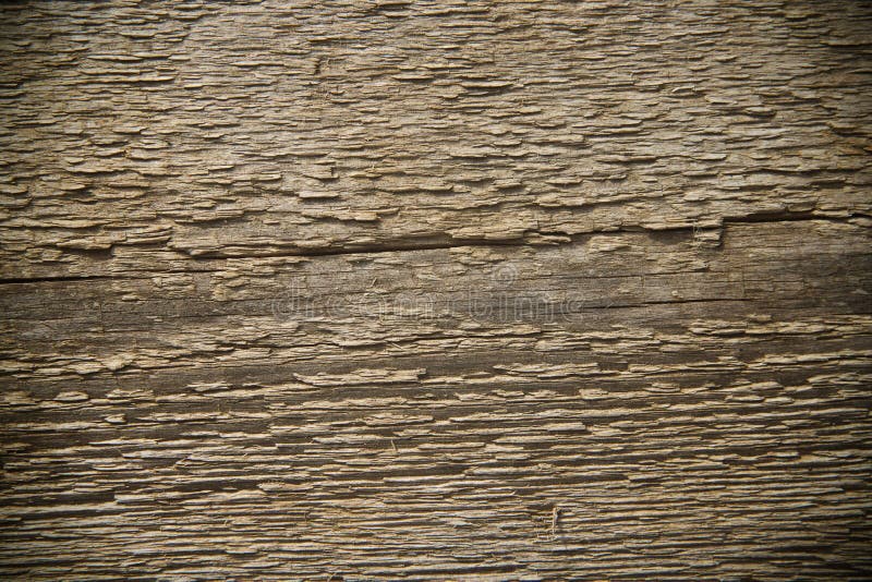 Rough wooden Board closeup stock image. Image of abstract - 174427891