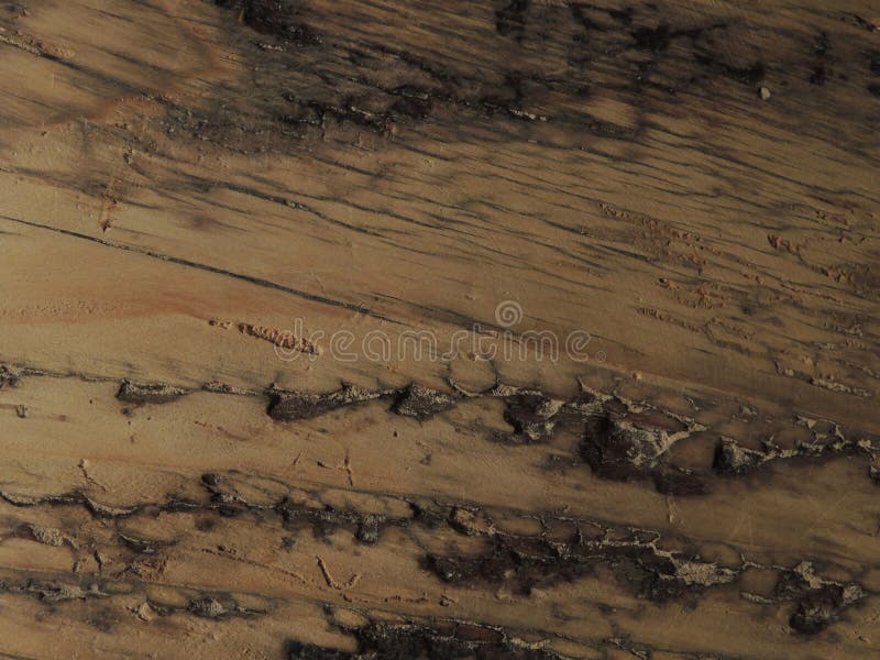 244 Tangential Photos - Free & Royalty-Free Stock Photos from Dreamstime