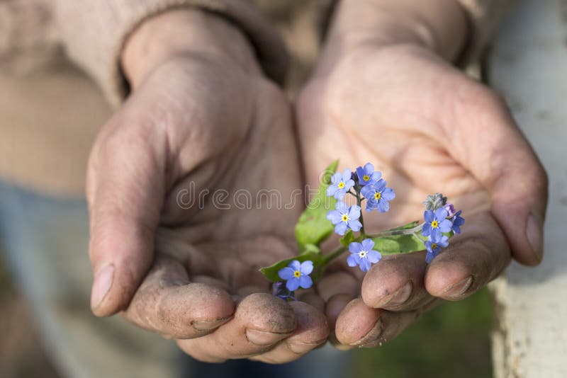 Rough Working Hands of the Woman in the Mud. Stock Image - Image of ...