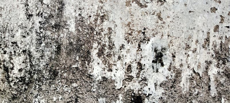 A Rough and Worn Wall Texture the Surface is Dull White with Widespread ...