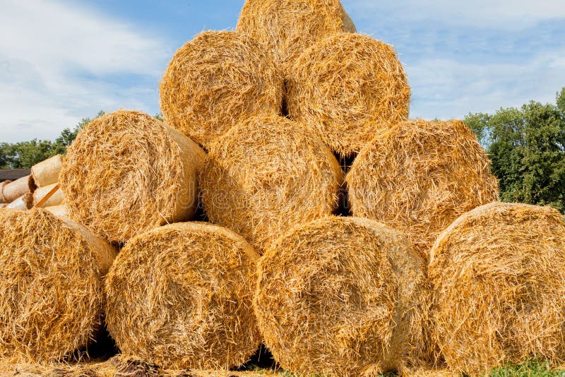 Rolls de paille image stock. Image du jaune, rural, bleu - 76711985