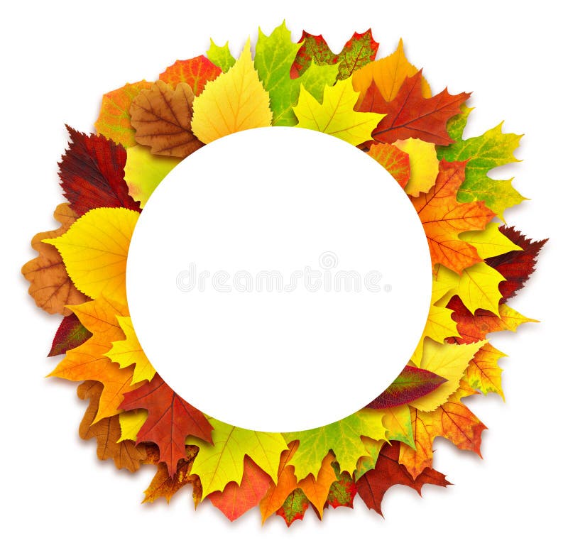 Round autumn leaves border stock photo. Image of leaf - 42189092