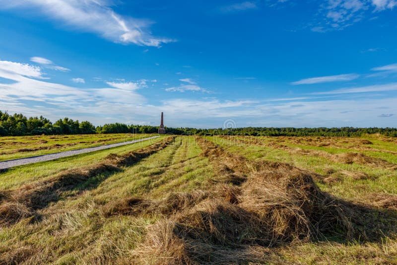 Round Bail of Hay in a Field Stock Photo - Image of field, grass: 193053324