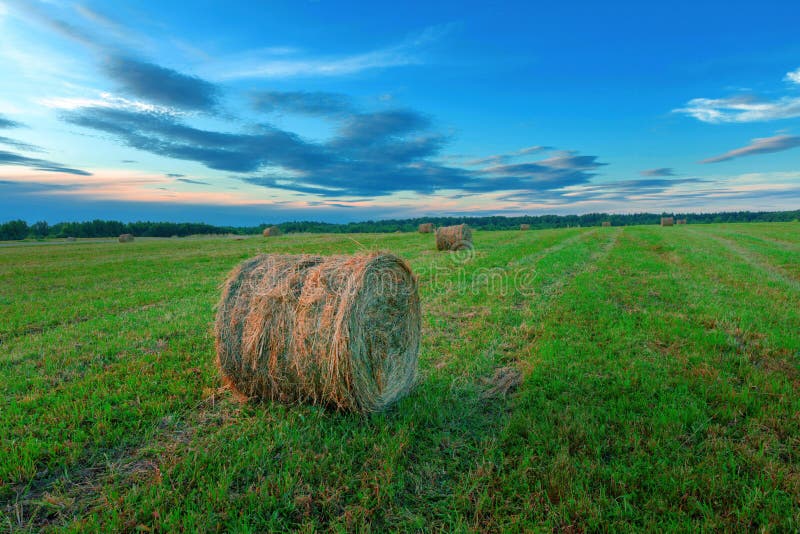 Round Bail of Hay in a Field Stock Image - Image of farm, circle: 193053391
