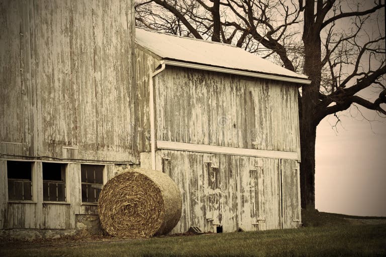 189 Bare Bale Stock Photos - Free & Royalty-Free Stock Photos from ...