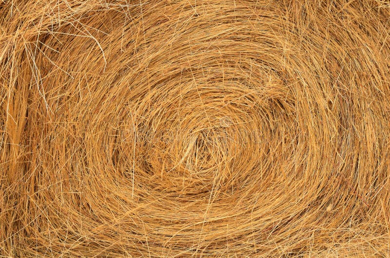 Round Bale Detail stock image. Image of roll, urban, countryside - 21965763