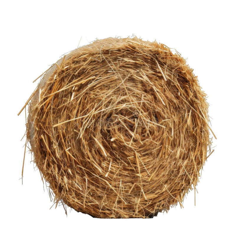 A Round Bale of Dried Hay Against a Black Background Stock Photo ...