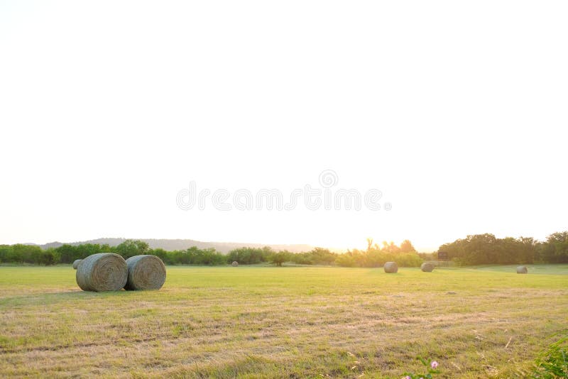 Round bale harvest on farm stock photo. Image of agriculture - 190800192