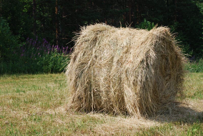 Brown Round Bale Picture. Image: 118290570