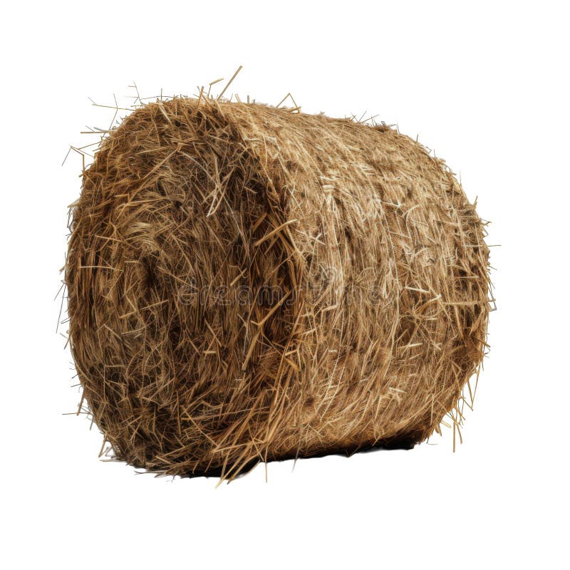 A Round Bale of Hay stock image. Illustration of agriculture - 331183003