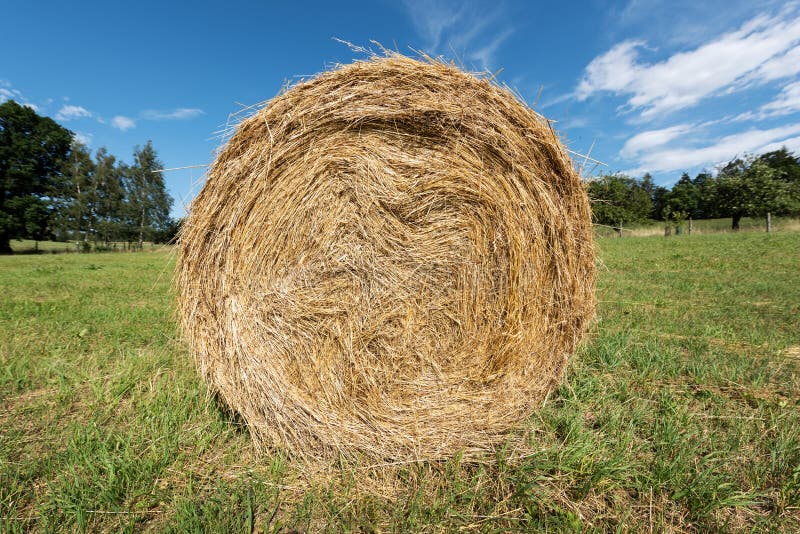 Round Bale of Hay on Meadow Stock Image - Image of circle, farm: 161803311