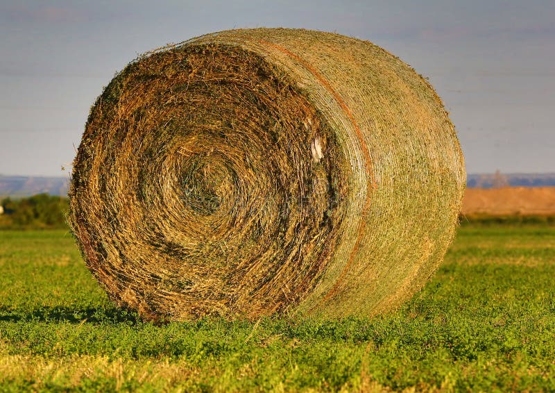 Round hay bale stock image. Image of golden, single, object - 97802405