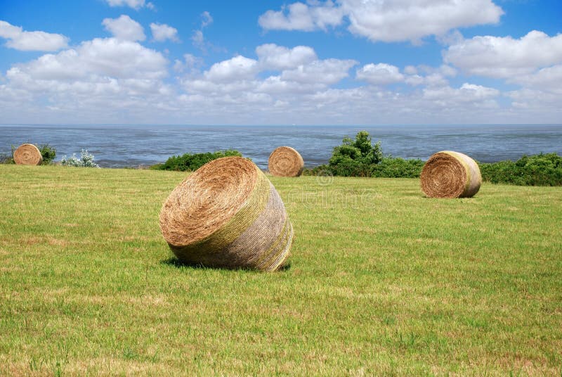 Round bales stock image. Image of farming, field, grass - 22636443