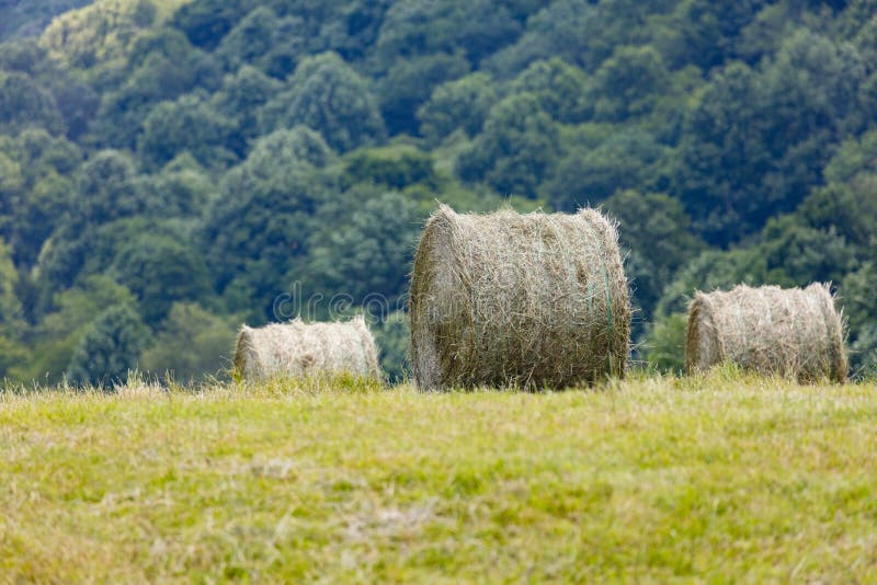 Round Bales of Hay in a Filed of the Planes Stock Photo - Image of ...