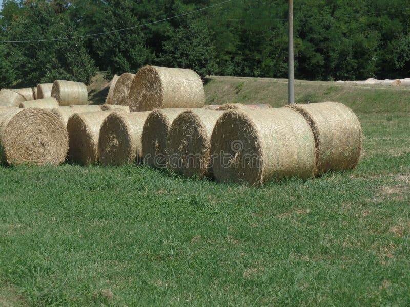 Round Bales of Hay on the Grass Stock Photo - Image of blue, farm ...